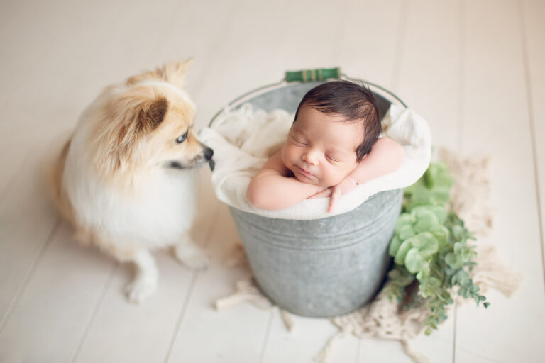 Posing babies in a bucket – Newborn Photography Tutorial